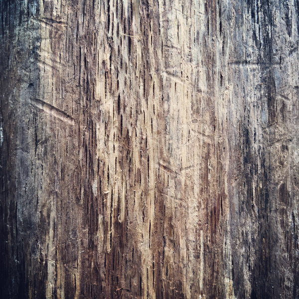 Laser Techniques for Recreating Authentic Looking Wood Grain
